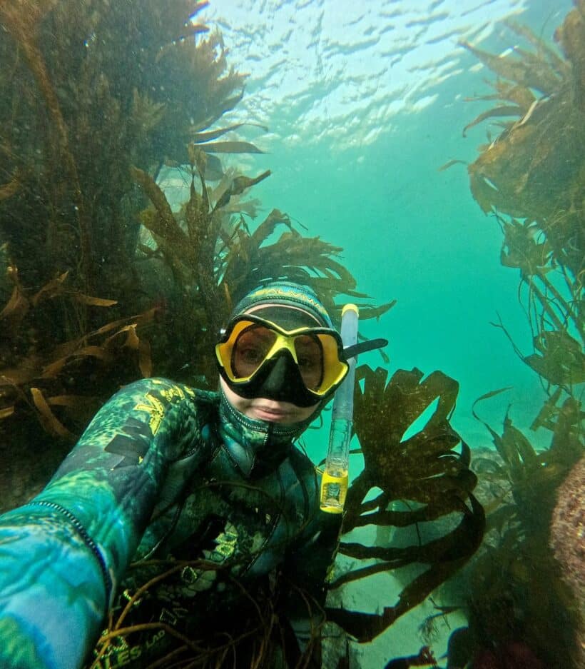 The secret life of...kelp - Beach Retreats